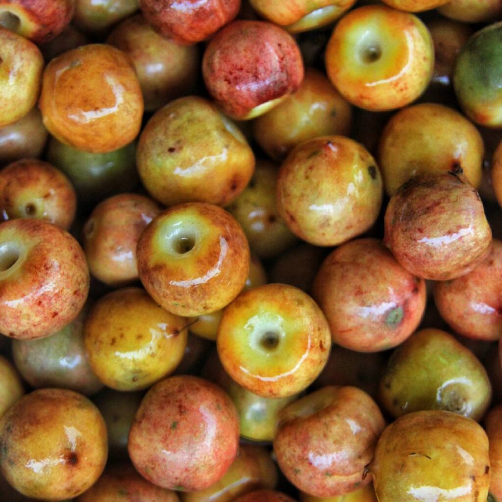 Recetas de Nances en Guaro